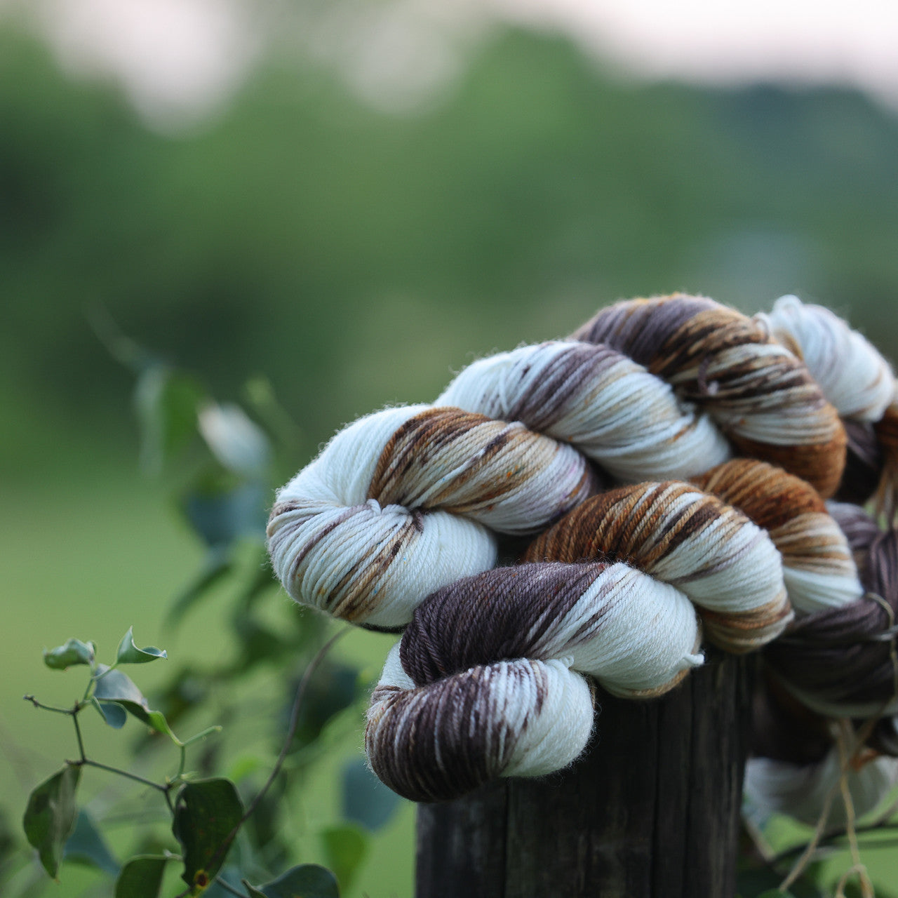Lasso – Bad Sheep Yarn