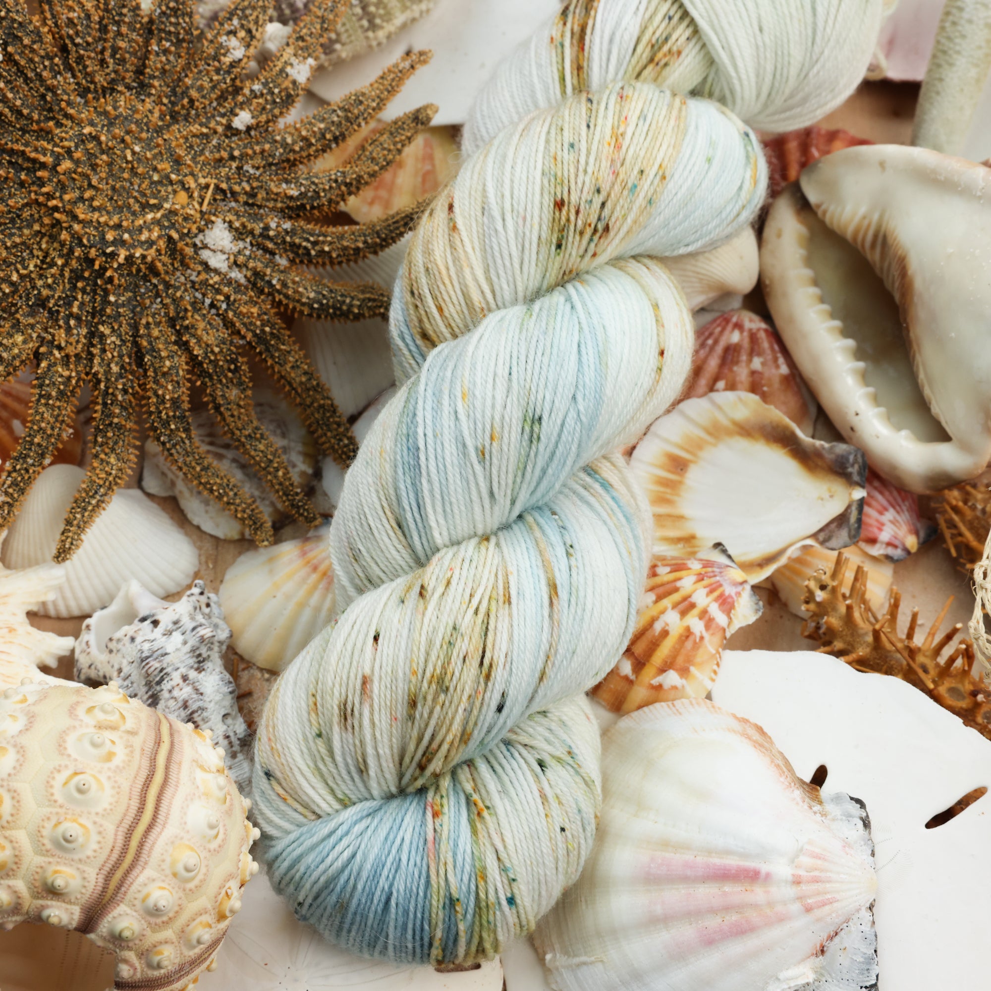 Sand Dollar – Bad Sheep Yarn